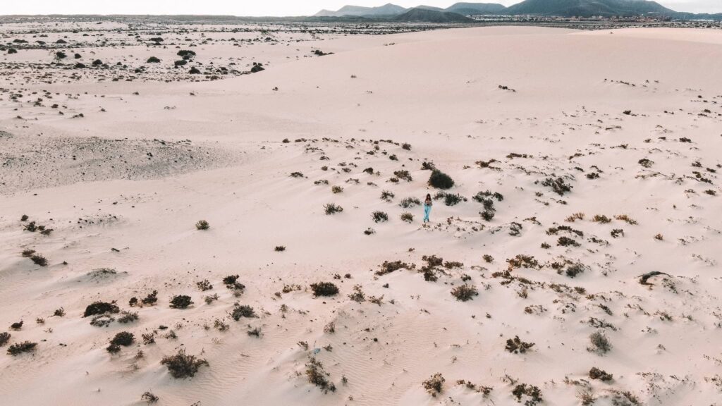 Original YouTuber wildflowermood | Wildflowermood - Francesca Ruvolo