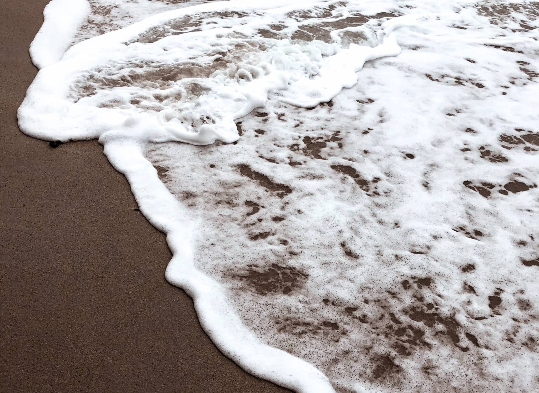 Shakti festival 2 | Wildflowermood - Francesca Ruvolo